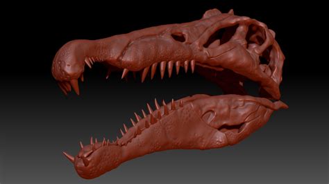 Artstation Spinosaurus Skull Set Game Assets