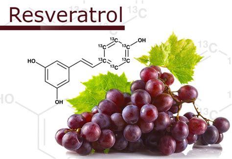 What Level Of Resveratrol Dosage Can Be Considered