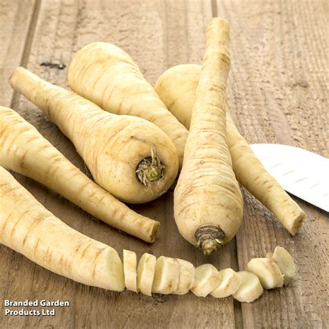 Parsnip Tender And True Organic Seeds Suttons
