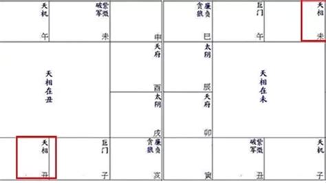 紫微命盤解析天相星獨坐丑未二宮守命 紫微斗數 命宮 十二宮 靈匣網