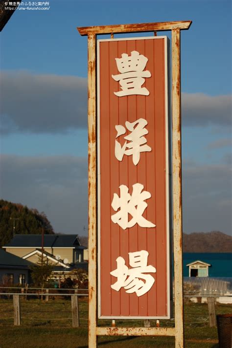 2019年10月10日 エーデルワイス賞（中央交流） Jpn3 重賞ウィナーレポート 競走馬のふるさと案内所