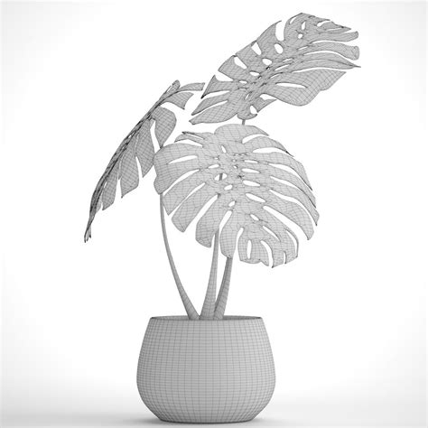 몬스 테라 3d 모델 14 Unknown Max Fbx Obj Free3d