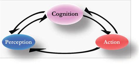 Brain Reorganization In Late Adulthood Rapid Left To Right Switch Of