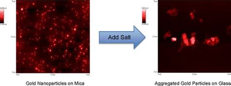 Counting Gold Using Atomic Force Microscopy To Characterize Gold Nanoparticlesjournal Of