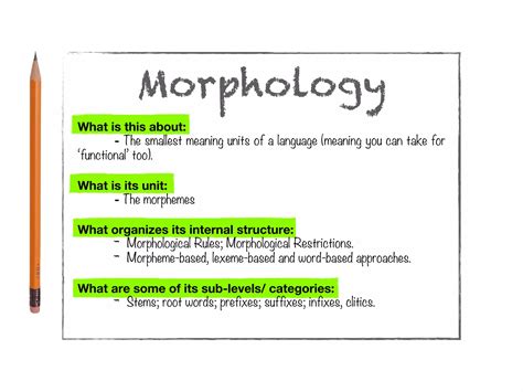 Class3 What Is This Language Structure Ppt