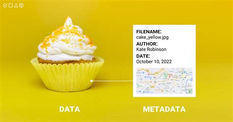 Metadata As A Potent Tool For Robust Data Management Label Your Data