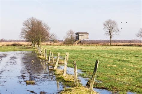 Nackte Bäume auf dem Feld vor klarem Himmel Premium Foto