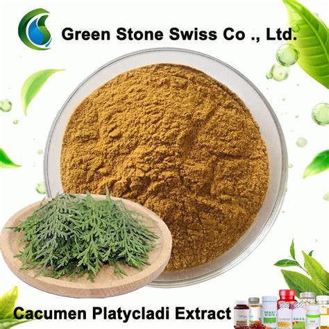 Cacumen Platycladi Extract Buy Onlinepricesupplymanufacturer From