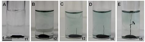 Biomimetic Mineral Self Organization From Sil Eurekalert