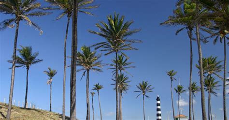 G1 Capitania Dos Portos Alerta Para Ondas De Até 25 Metros No