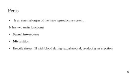 Reproductive System Anatomy For Medical Laboratory Ppt
