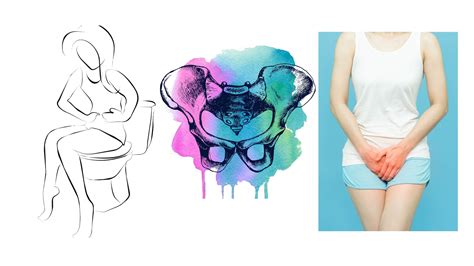 What Is Pelvic Floor Therapy Ipa Physio