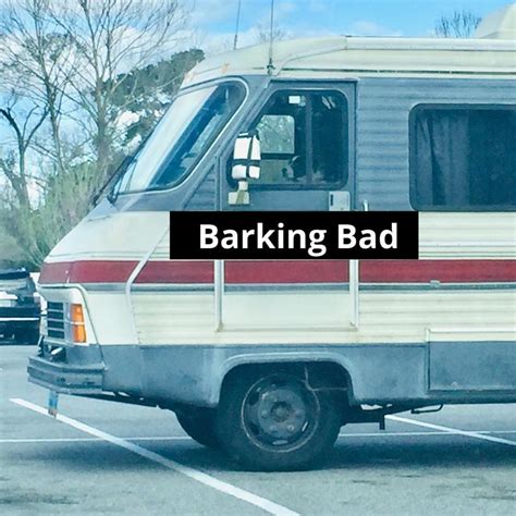 Breaking Bad Dog