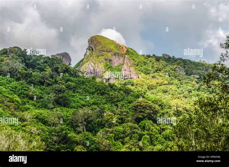 Pico De Loro Stock Photo Alamy