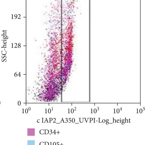 Example Dot Plot Graphs Showing Cell Morphology And Cell Distribution Download Scientific