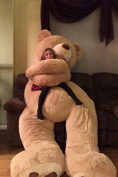 Quelques Images Insolites Vol 121 Image Peluche Orso