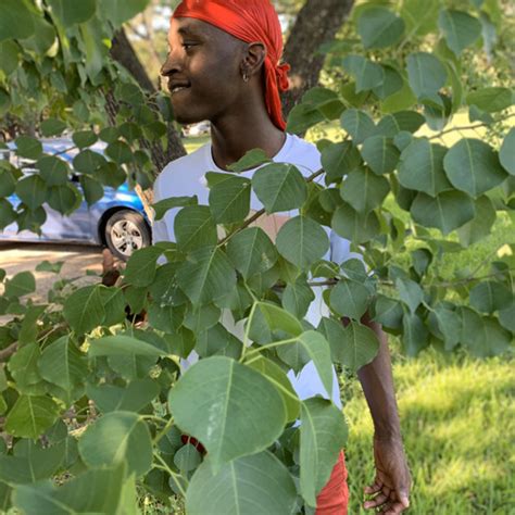 Stream Sex Sounds By 3lu Benji Listen Online For Free On Soundcloud