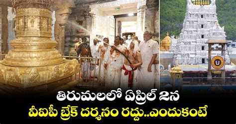 తిరుమలలో ఏప్రిల్ 2న వీఐపీ బ్రేక్ దర్శనం రద్దు ఎందుకంటే