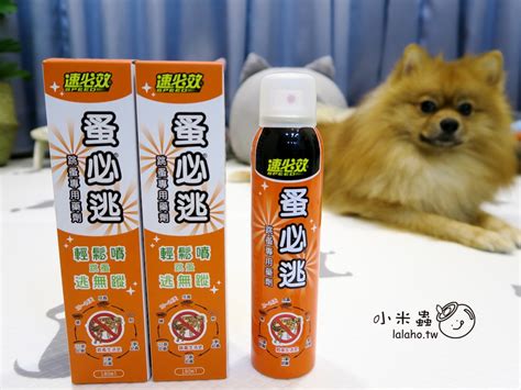 除蚤方法消滅跳蚤就靠速必效蚤必逃跳蚤專用藥劑噴一噴跳蚤掰掰 小米蟲的米缸