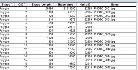Arcgis Desktop Autopopulating Text Field With String And Number