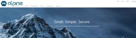 Alpine Linux란 달소씨의 하루