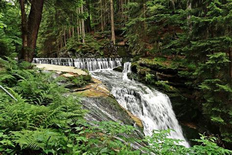 Mysteries Of Mississippis Clark Creek Trails Touristsecrets