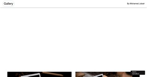 Photo Gallery Codesandbox