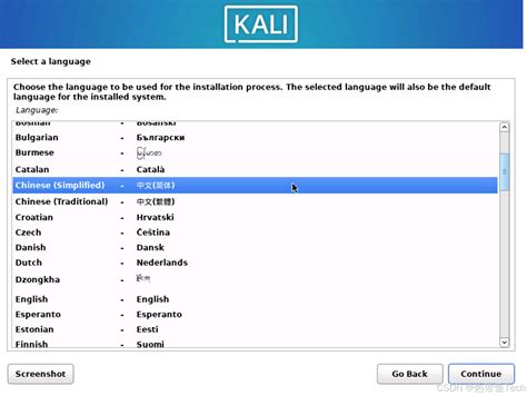 2025全网最全！vmware安装kali Linux保姆级教程，手把手教会你安装 Kali 虚拟机！ Csdn博客