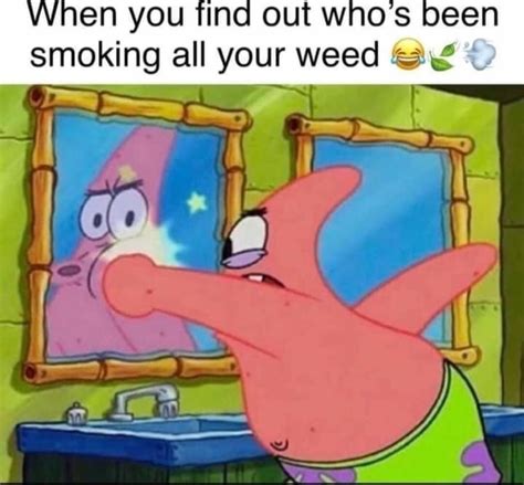 When You Find Out Wnos Smoking All Your Weed And Ifunny