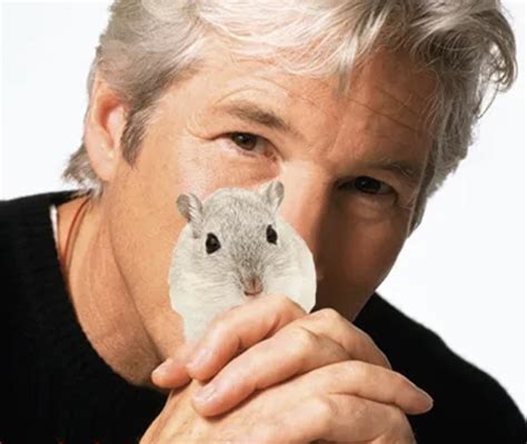 Jerry Penacoli Gerbil Story