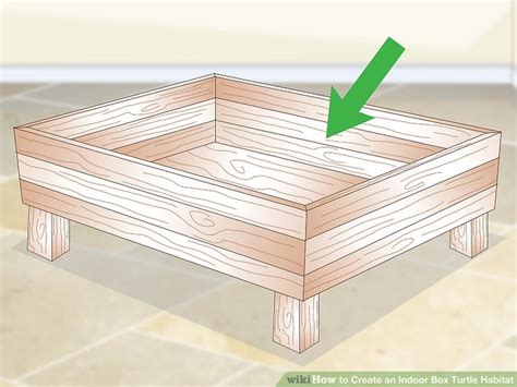 How To Create An Indoor Box Turtle Habitat With Pictures