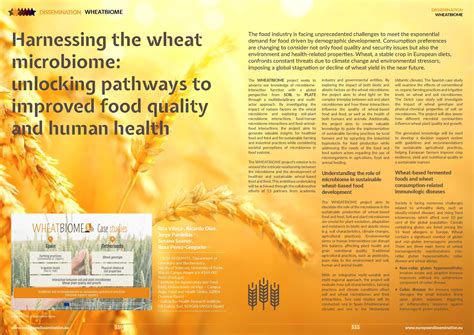 Harnessing The Wheat Microbiome Unlocking Pathways To Improved Food Quality And Human Health Edma