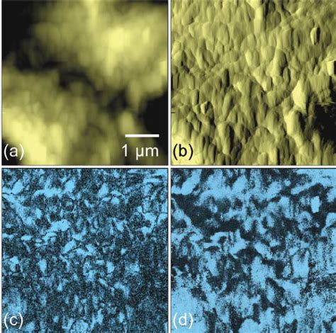 A Topography B Deflection C Pfm Amplitude And D Phase Images