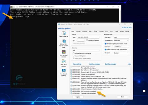 Bitvise Là Gì Hướng Dẫn Sử Dụng Bitvise để Kết Nối Ssh Với Vps