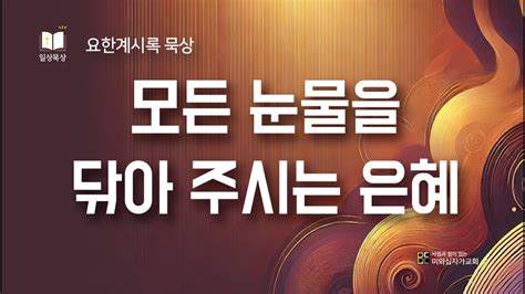 요한계시록 묵상 46 L 모든 눈물을 닦아 주시는 은혜 계 211 4 L 2024년 11월 11일 일상묵상 Youtube