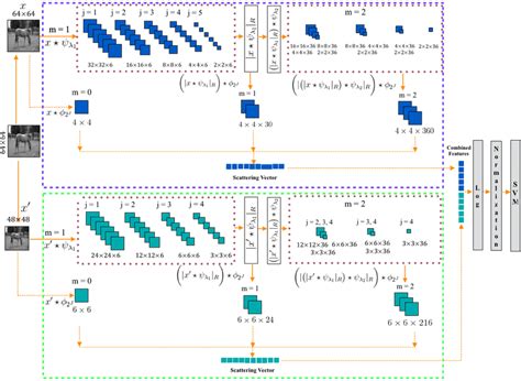 illustration shows the input image x of size 64 × 64 resized to