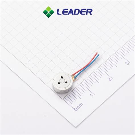 Haptic Feedback Motor Manufacturer And Supplier In China Leader