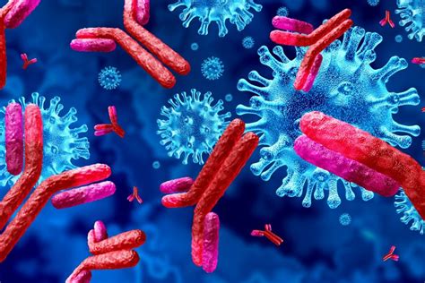 Second Of Lillys Covid 19 Neutralising Antibodies Begins Phase I Trials