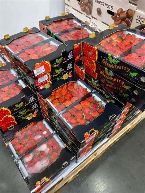 全台草莓控要花烘惹 好市多新鮮大湖草莓擺滿整貨架 大size草莓飽滿又紅潤價格超佛心 Foody 吃貨