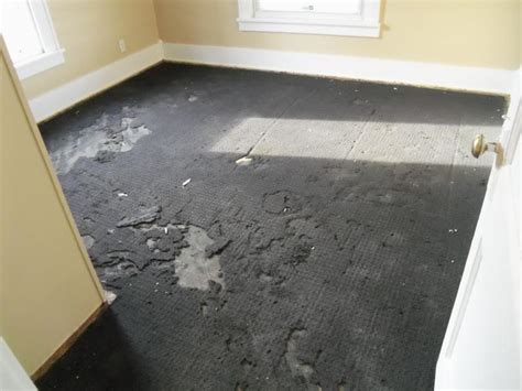 Old Carpet Padding Stuck To Wood Floor At Connie Blackwell Blog