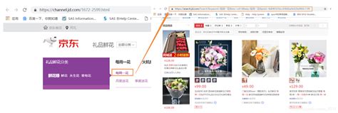 Python Python Selenium 抓取 京东商品数据（商品名称，售价，店铺，分类，订单信息，好评率，评论等）获取商品名称
