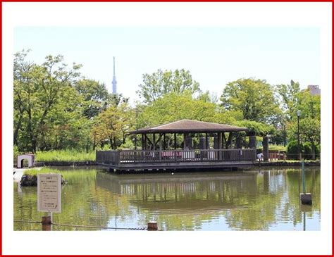 メンバーズギャラリー「荒川自然公園」 ナビトモ