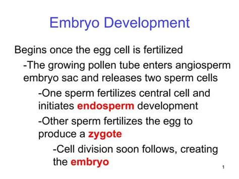 Plant Embryo Development Pptx Infertility Reproductive Health