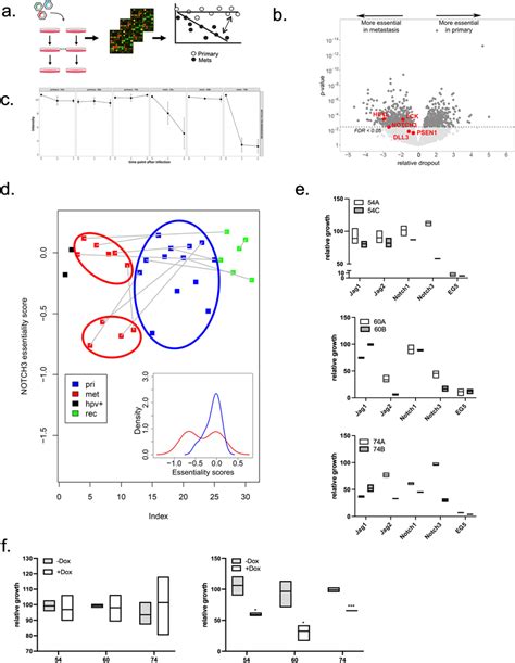 Pooled Screens Reveal Metastasis Specific Vulnerabilities A The