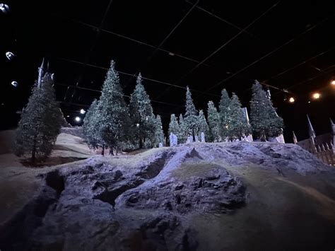 【ハリポタ】ワーナーブラザーズ スタジオツアー東京 ポーカー実況アナウンサーてらこのブログ