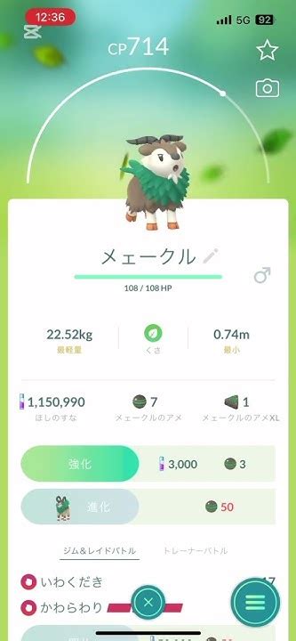 Pokémon Go メェークルポケモンゴー Youtube