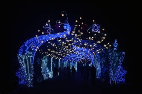 鐵嶺蓮花濕地燈會 冰雪之中迎新春 每日頭條