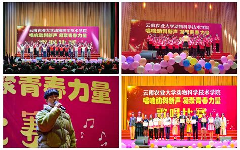动科院举办“唱响动科新声 凝聚青春力量”歌唱比赛 云南农业大学 新闻网