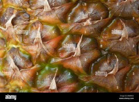Pineapple Skin Close Up Hi Res Stock Photography And Images Alamy