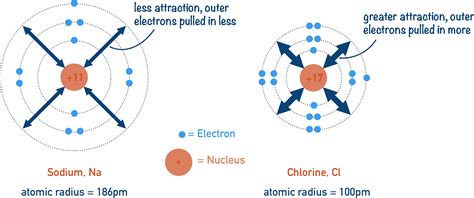 How Does Bromine Atomic Radius Compared To Chlorine At Tracy Mccoy Blog